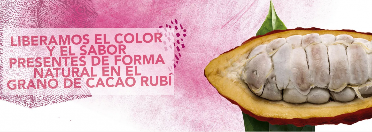 El chocolate ruby: Chocolate rosa, sabor a cacao y un color único | Blog